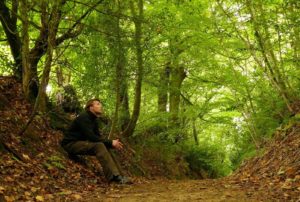 Simonson, tradurre Tolkien in spagnolo - Associazione Italiana Studi ...